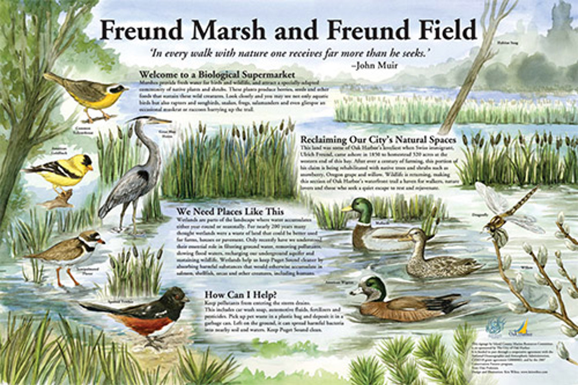 Shoreline Signage | Island County Marine Resource Committee