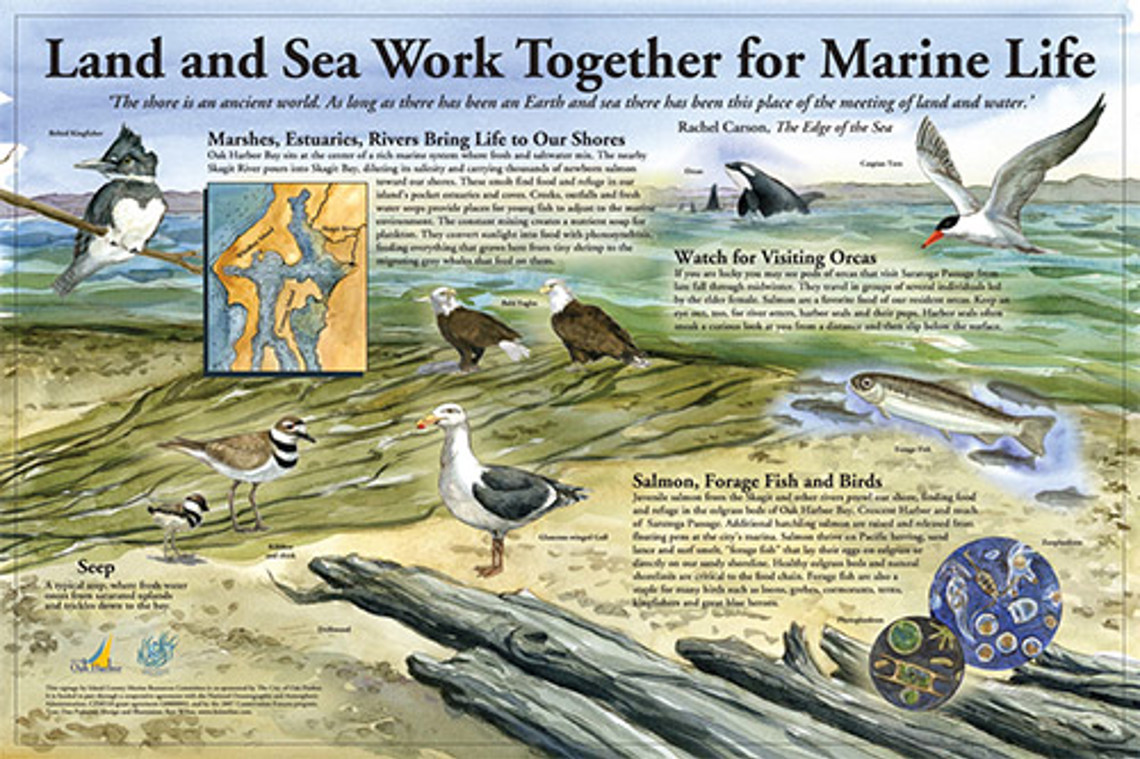 Shoreline Signage | Island County Marine Resource Committee