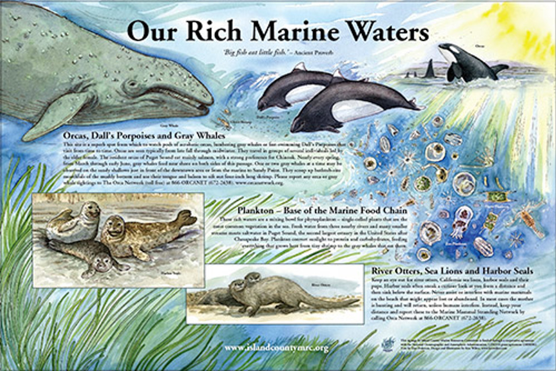 Shoreline Signage | Island County Marine Resource Committee