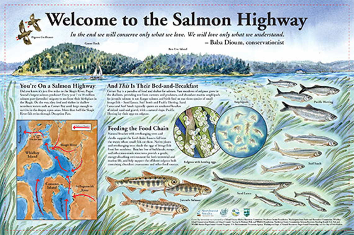 Shoreline Signage | Island County Marine Resource Committee