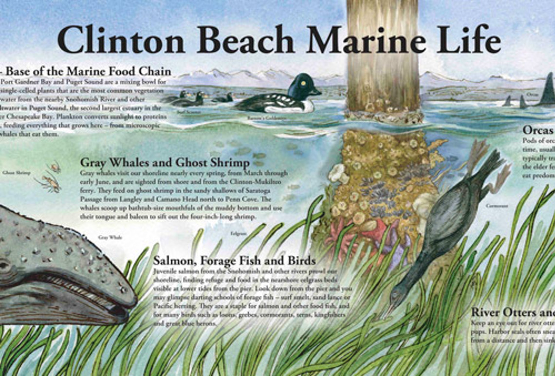 Shoreline Signage | Island County Marine Resource Committee