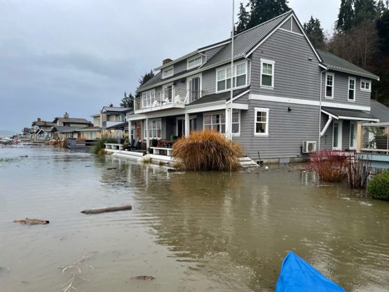 Island County Marine Resources Committee | Island County Marine ...